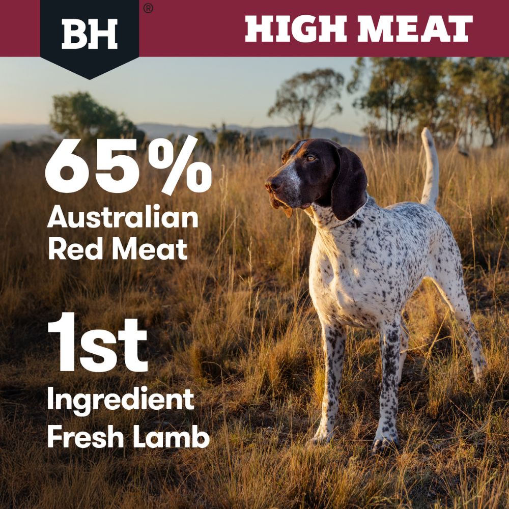 Black Hawk Dog Food High Meat Red Meat